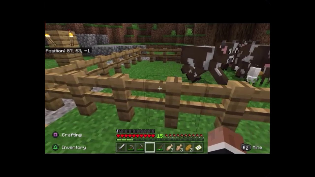 4 Chickens in 1 egg??? Rare??? - Minecraft #shorts