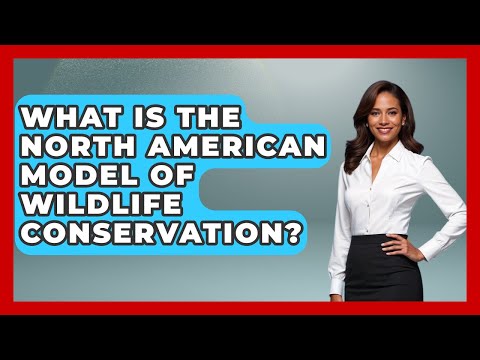 What Is The North American Model Of Wildlife Conservation? - The Marksman's Journal