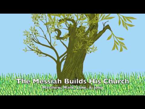 Two Olive Trees Illustrated and Explained