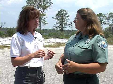 Resource Rangers "Wildland Fires"