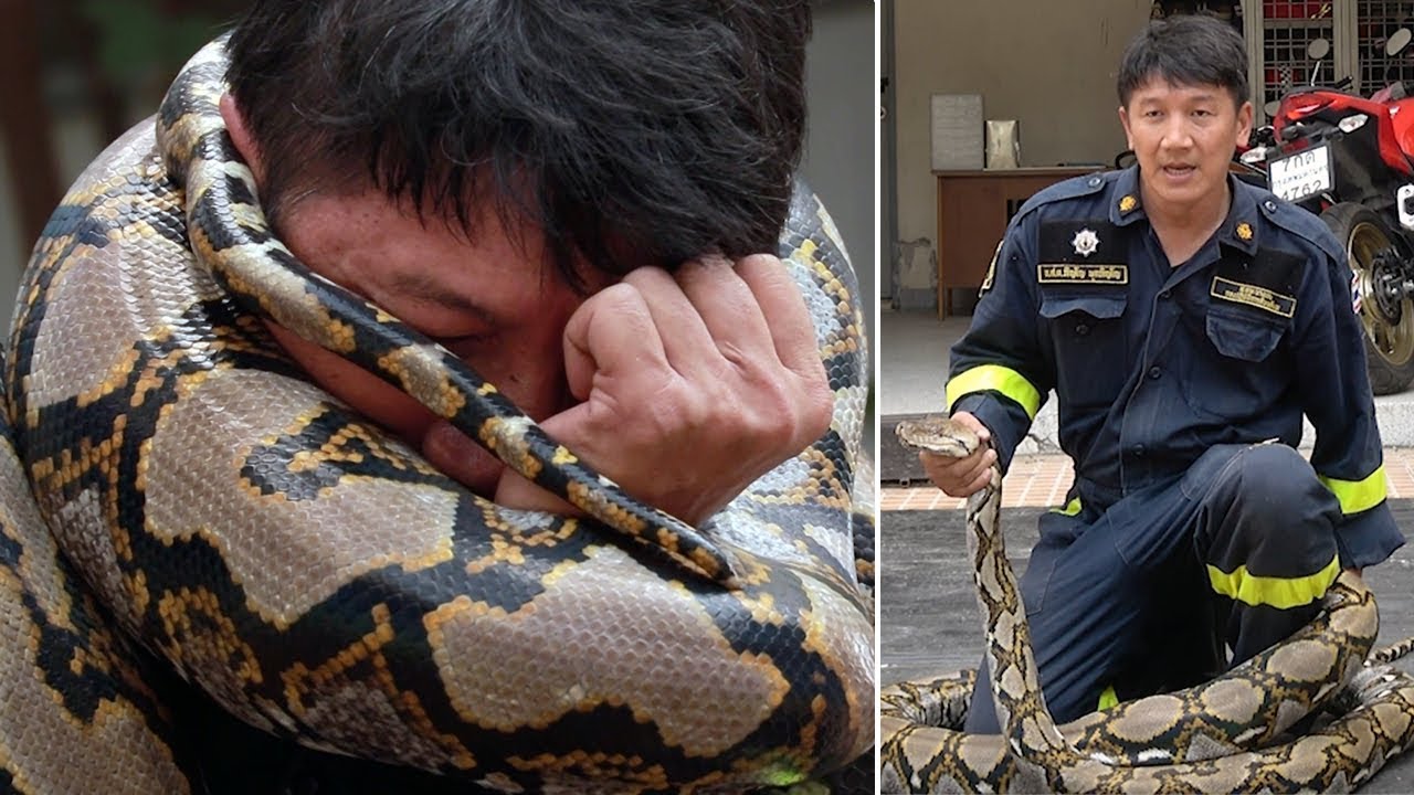 How To Escape From A Python Attack