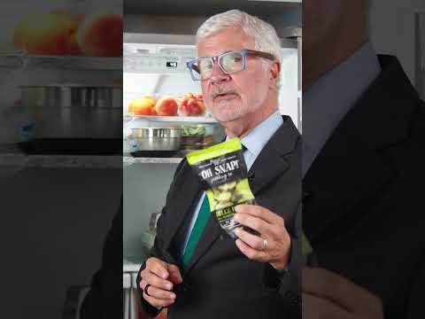 Pickles are Squash? Why Fermenting Pickles is Important for Your Health!
