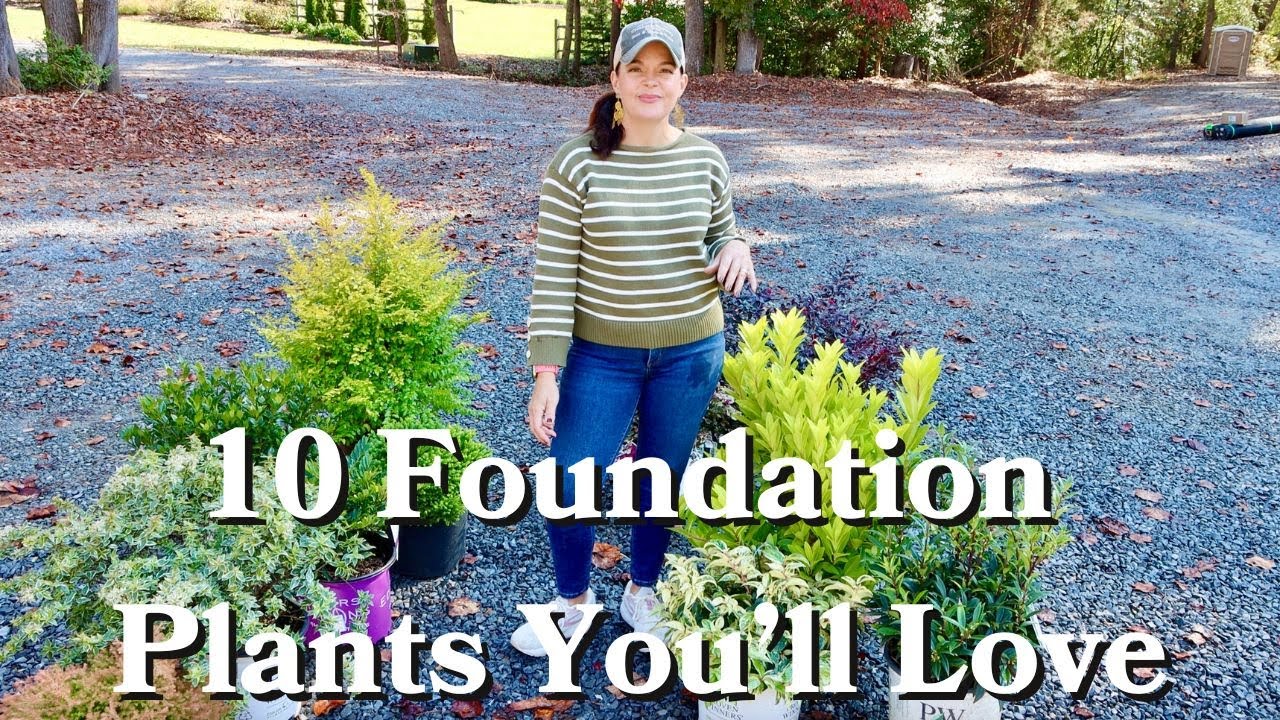 10 Low-Maintenance Foundation Shrubs You'll Love