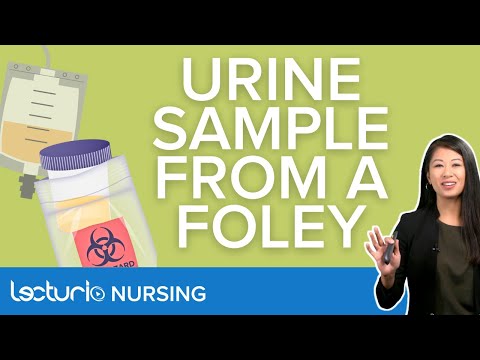 Urine Specimen Collection from an Indwelling Foley Catheter | Lecturio Nursing Clinical Skills