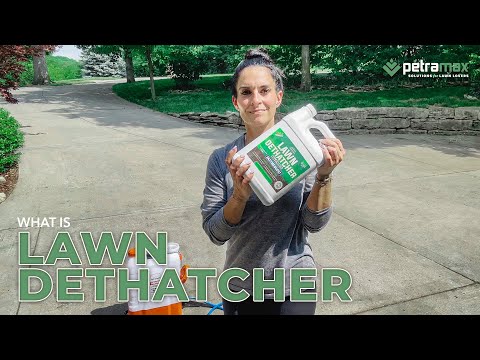 What is the Lawn Dethatcher? | PetraMax™