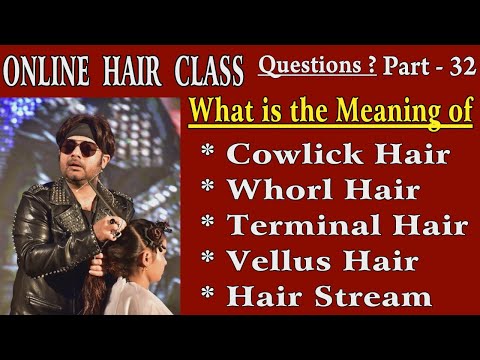 What is the Meaning of : Cowlick Hair, Whorl Hair, Terminal Hair, Vellus Hair, Hair Stream.