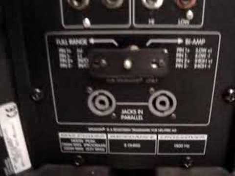 Peavey Speakers (Speakers)SOLD