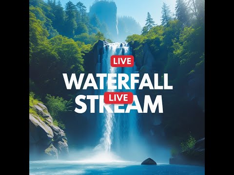 live 4k UHD live stream mind relaxing