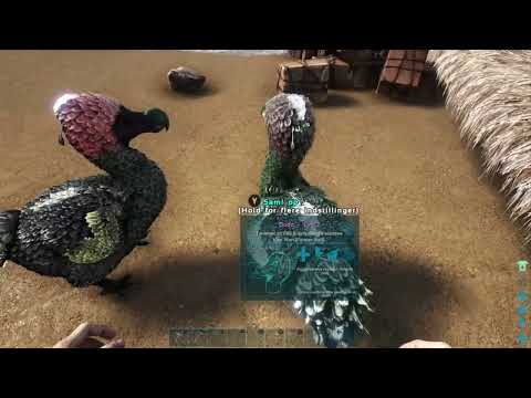 ARK: Survival Evolved - The Island - Day 1