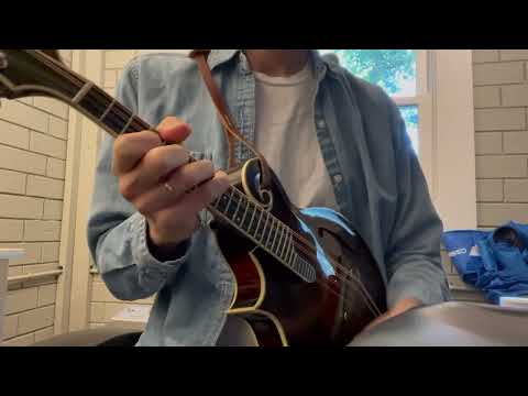 Voight F5 Mandolin | Reverb