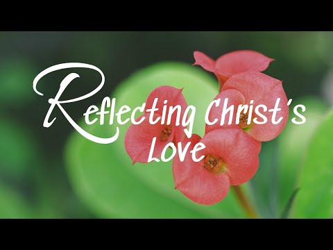 Reflecting Christ's Love | Add to Godliness Brotherly Kindness | Daily Devotional | March 7