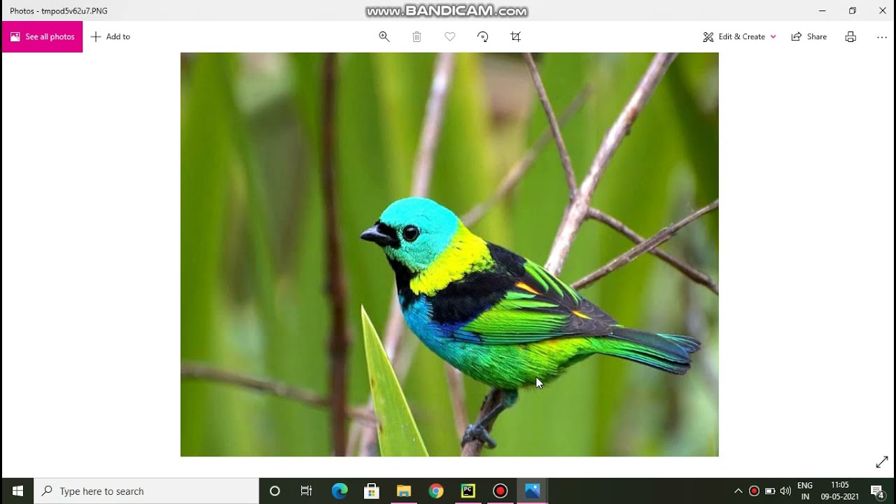 Experiment 8||Python(Graphic Design And Image Processing)