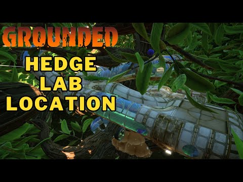Steam Community :: Video :: Grounded Hedge Lab Quest Complete Guide ...