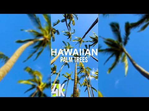 2 HRS Tranquility of Hawaiian Beaches - 4K Relaxing Ocean Waves, Tropical Birds Songs & Palm Trees