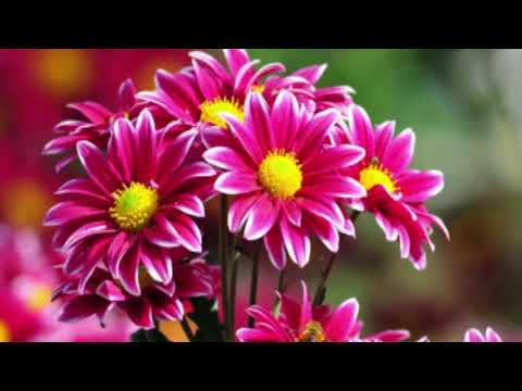 How to be a Miserable, Abrasive or Unloving Person | Thinking Out Loud