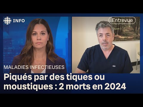 Tiques et moustiques : appel à la vigilance