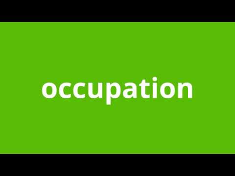 what is the meaning of occupation.