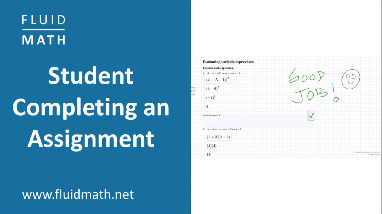 Completing An Assignment in FluidMath