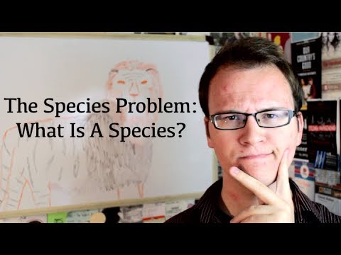 The Species Problem: What Is A Species?