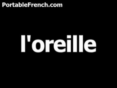French word for ear is l'oreille