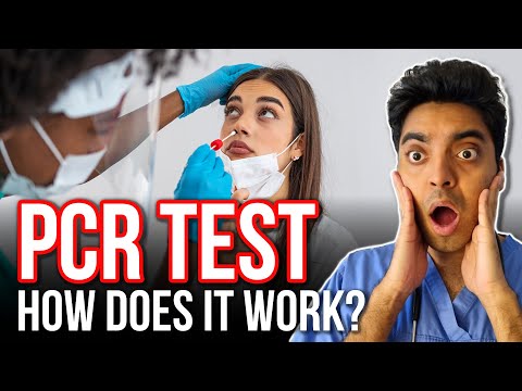 How Do PCR Tests Work?! #omicron #covid #shorts