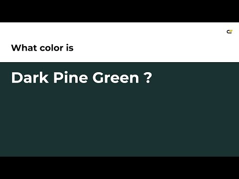 Dark Pine Green color #193232 hex color - Blue color - Warm color 193232