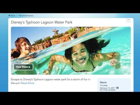 Back to the Basics: PARK TICKETS - WALT DISNEY WORLD