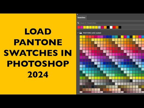 Load Pantone swatches in Adobe Photoshop 2024