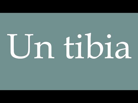 How to Pronounce ''Un tibia'' (A shin) Correctly in French