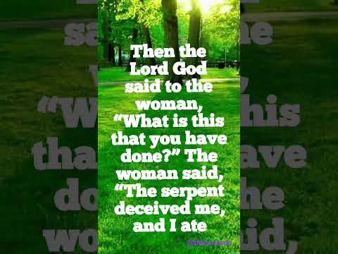 Genesis 3:13 ESV bible verse