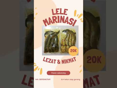 Trobosan baru Lele Kuning siap goreng #lele #ikanlele