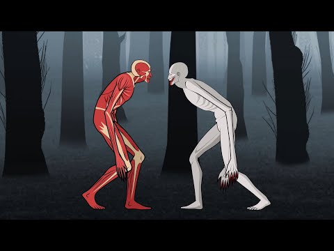 scp 096 vs scp 096