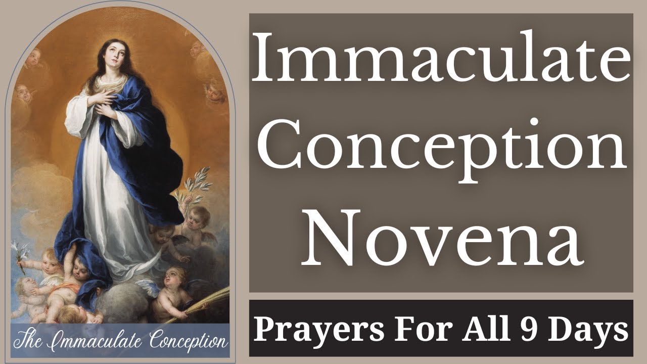 Immaculate Conception Novena | Prayers For All 9 Days