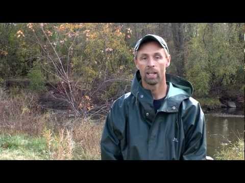 Informational/Brand Awareness-Wisconsin DNR Steelhead Facility