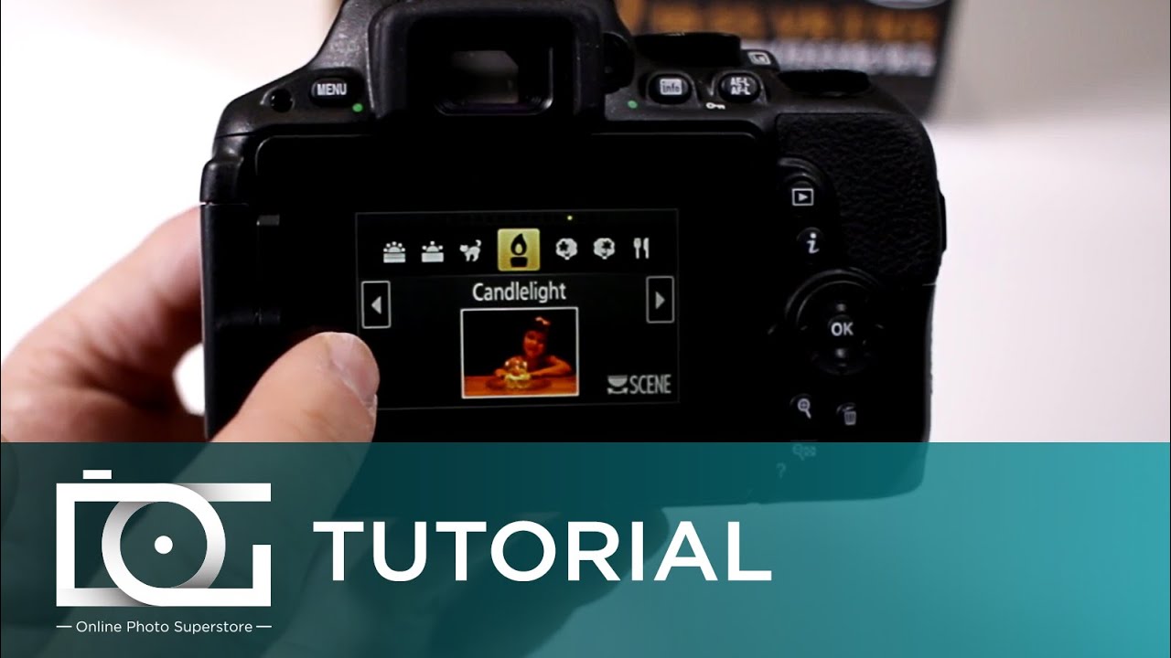 NIKON D5500 TUTORIAL | How Many Scene Modes Does the Nikon D5500 Have?