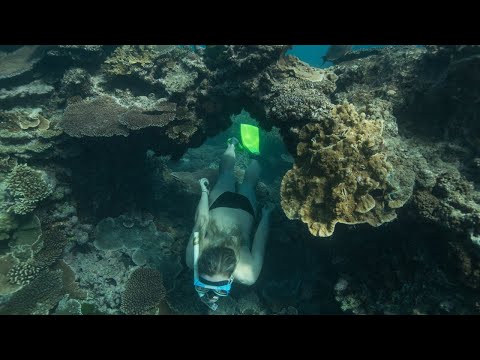 Hawaii wants to ban sunscreens that bleach coral