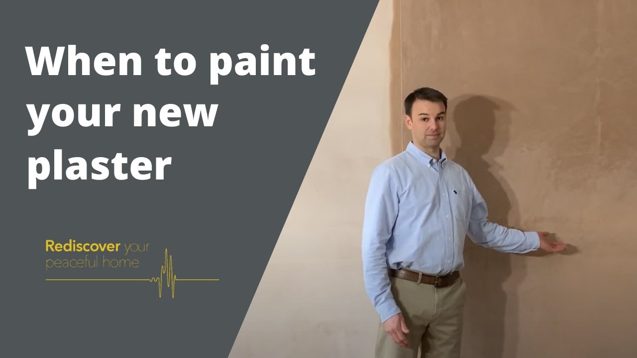 How Long Does It Take For Plaster To Dry?
