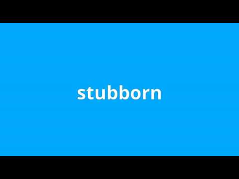 what is the meaning of stubborn