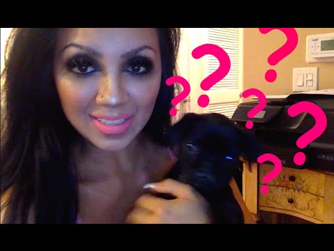 How To Pronounce Louis Vuitton Bags | French | What does PM, MM, GM stand for?