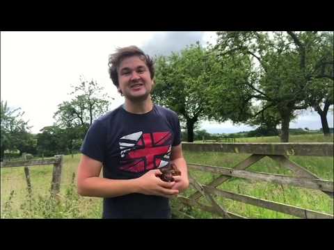 Study Animal Care at Bicton College VOD 2020