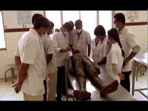 ACDS - Admission 2026, Fees, Courses, Cutoff, Placement, Ranking