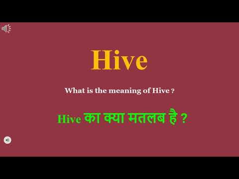 Hive meaning in Hindi | Hive ka kya matlab hota hai | daily use English words