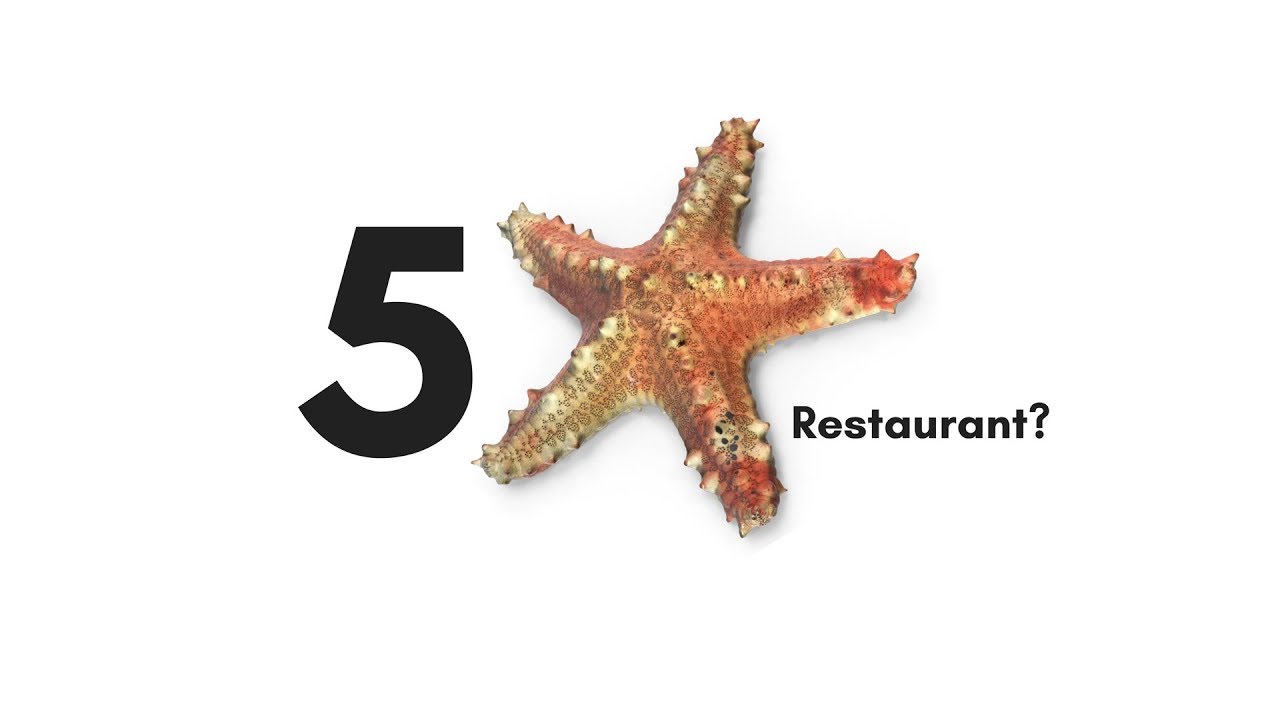 How You Can Manage Online Reviews - Powerful New Course - Online Restaurant Reputation