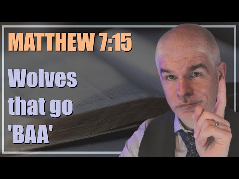 Beware false prophets! – Matthew 7:15 | 2-minute daily bible meditation ...