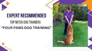 3 Best Dog Trainers in Chorley, UK - Expert Recommendations