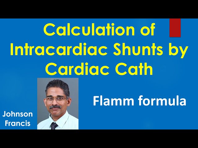 Understanding the Calculation of Intracardiac Shunts Using Cardiac ...
