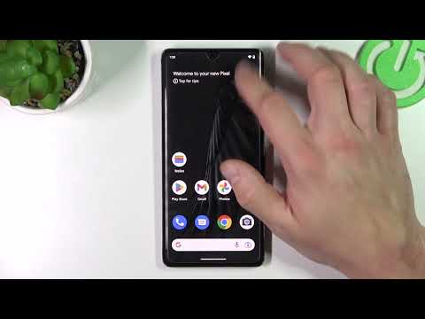 Does GOOGLE Pixel 7 Pro have Screen Mirroring?