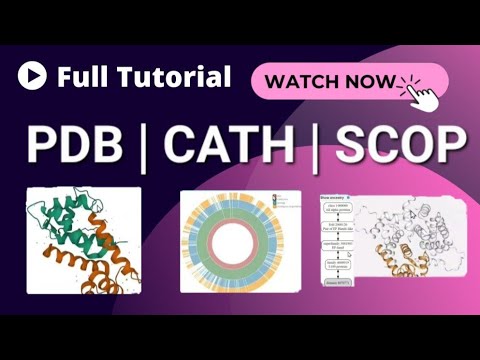 PDB CATH SCOP | Bioinformatics Tutorial