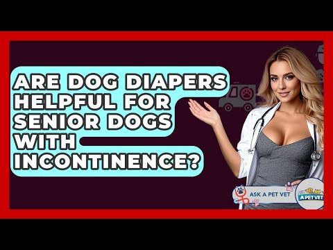 Are Dog Diapers Helpful For Senior Dogs With Incontinence? - Ask A Pet Vet