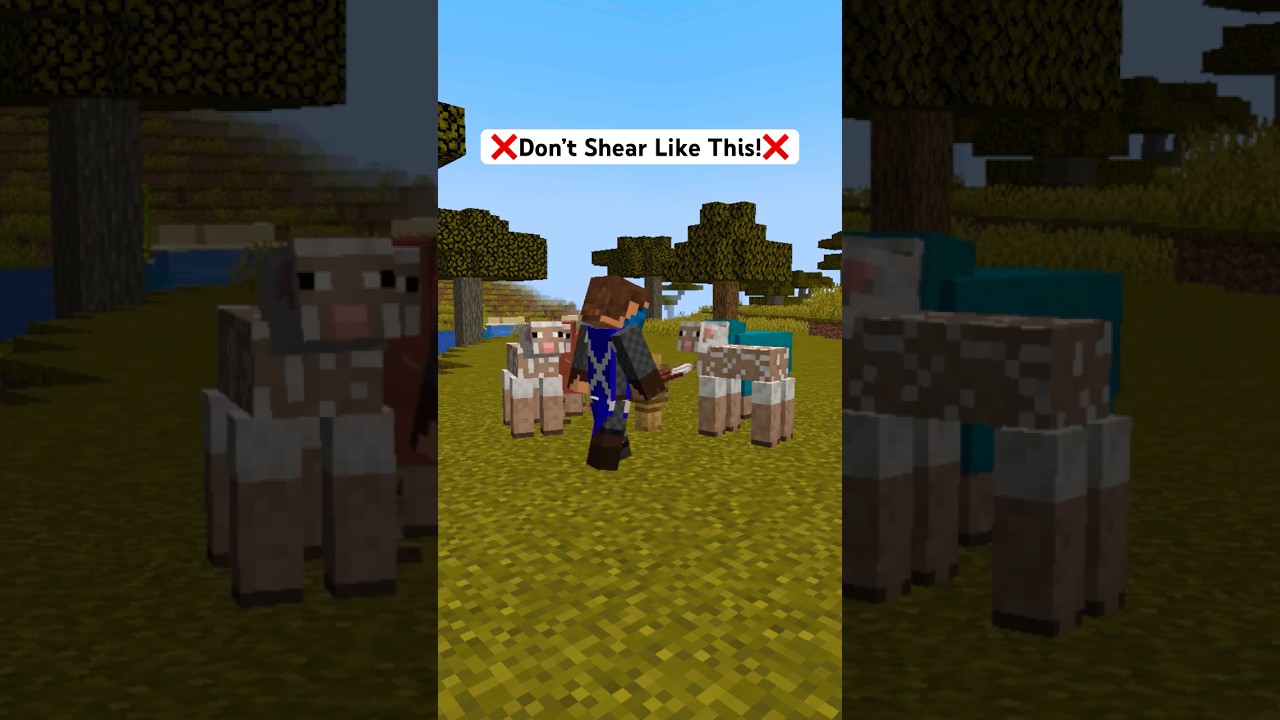 EASIEST Automatic AFK Wool Farm Tutorial (Java & Bedrock) - Minecraft 1.20 #shorts